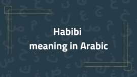 Habibi Meaning and Why do People Say It?