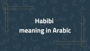 Habibi Meaning and Why do People Say It?