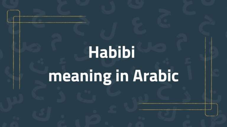 Habibi Meaning and Why do People Say It?